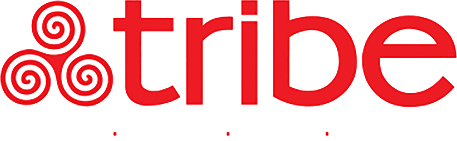 Our Services – Tribe UK
